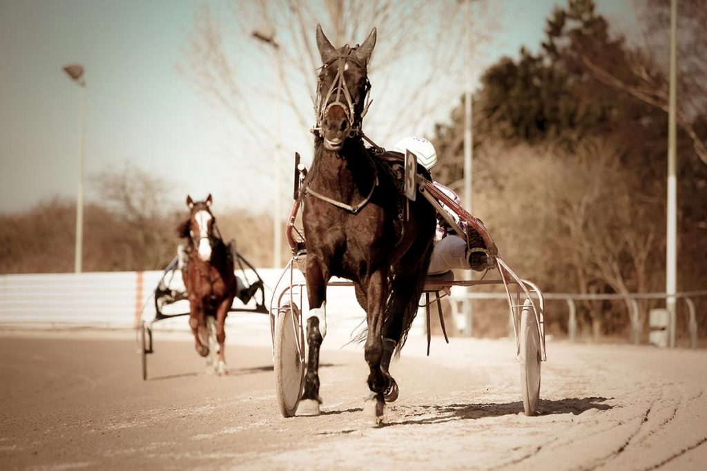 Ravivihjeet TOTO76 ja TOTO65 kierrokselle - Ilmaisetvedot.com